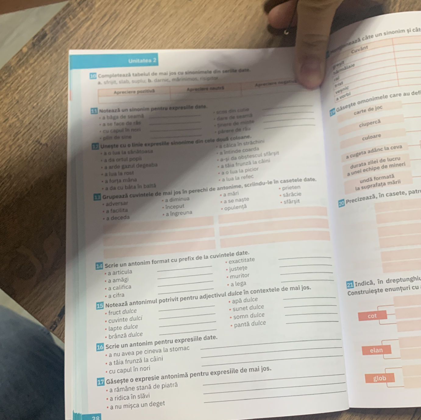 Completează tabelul de mai jos cu sinonimele | StudyX