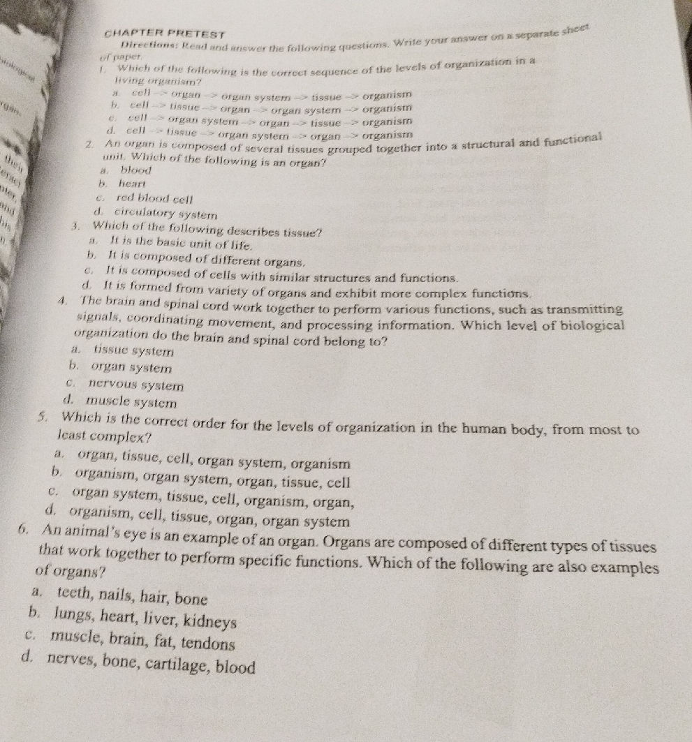 1. Which of the following is the correct | StudyX