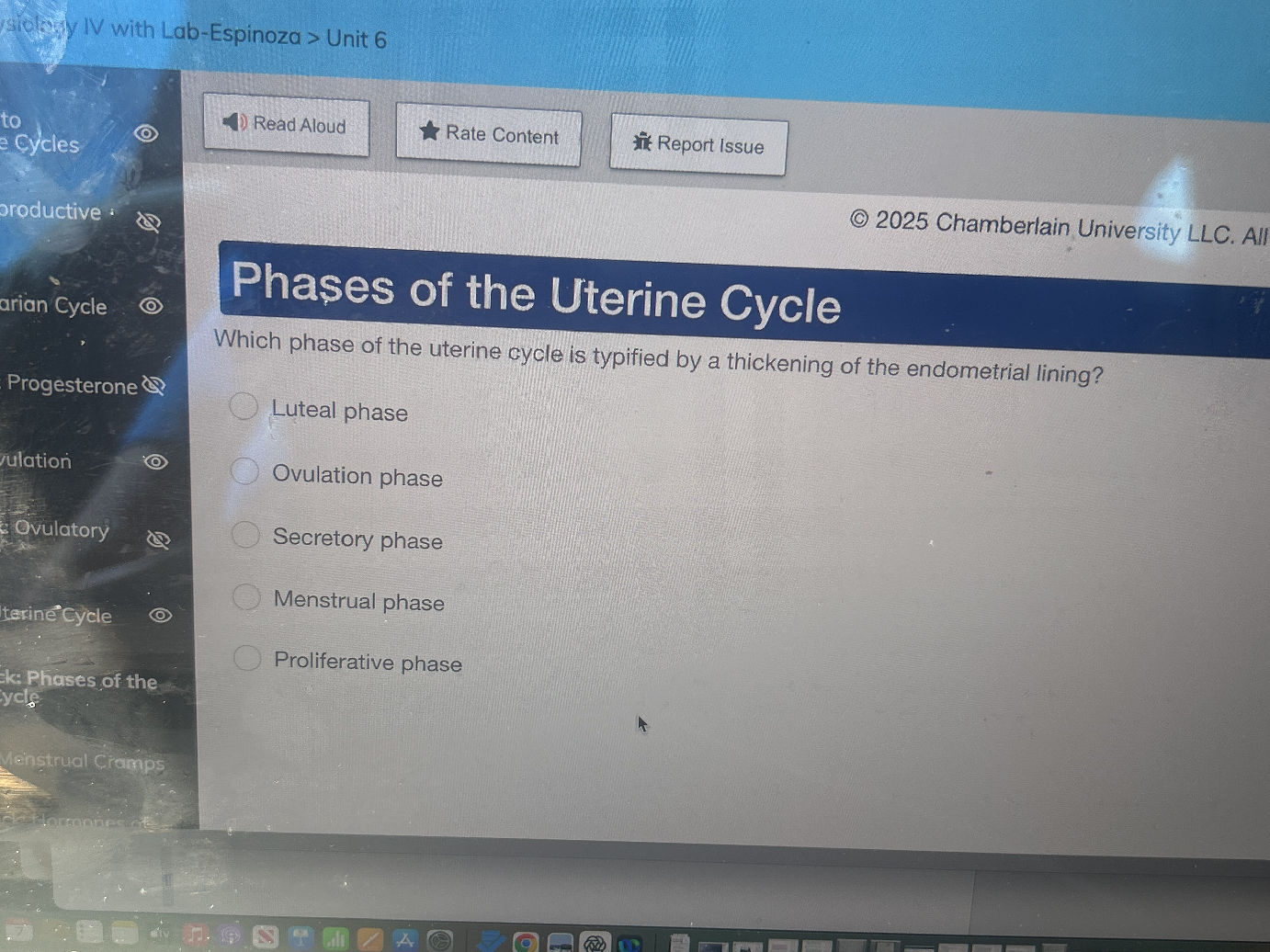 Which phase of the uterine cycle is typified | StudyX