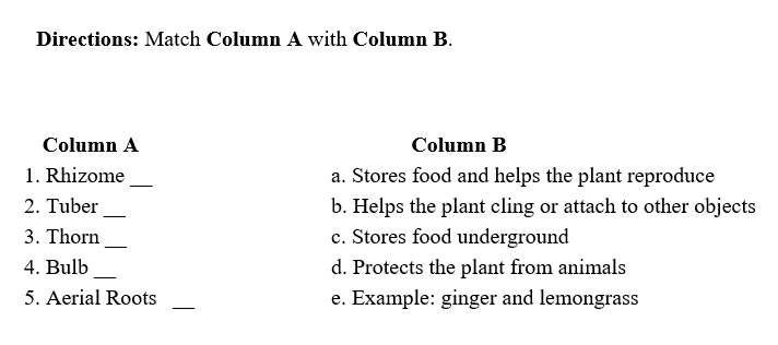Directions: Match Column A with Column B. | StudyX