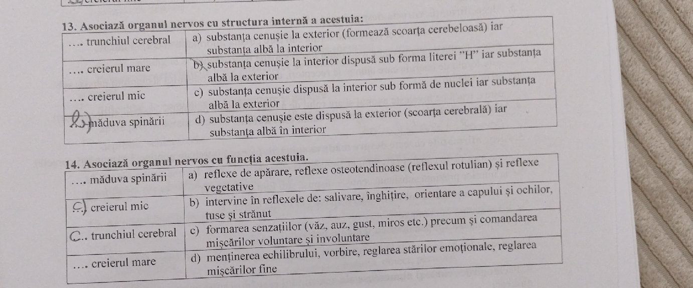 13. Asociază organul nervos cu structura | StudyX
