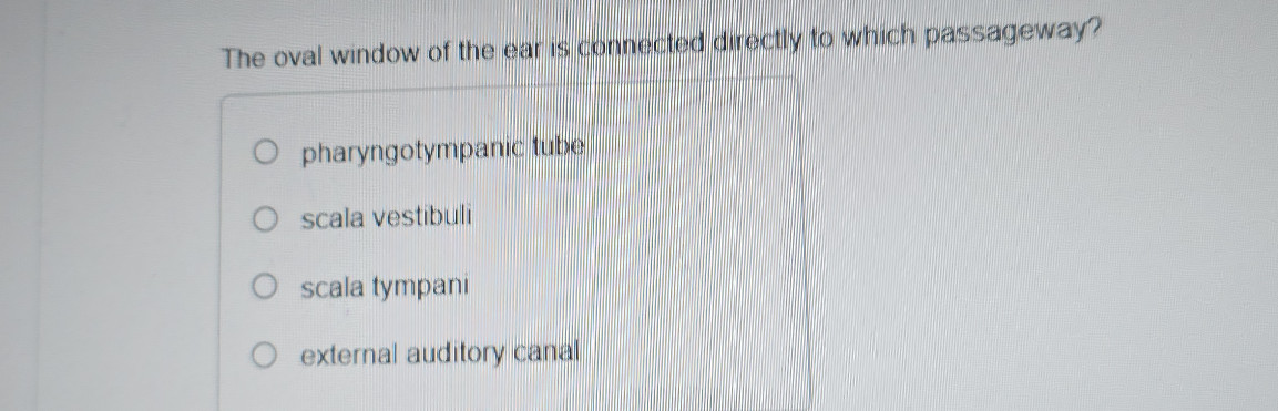 The oval window of the ear is connected | StudyX