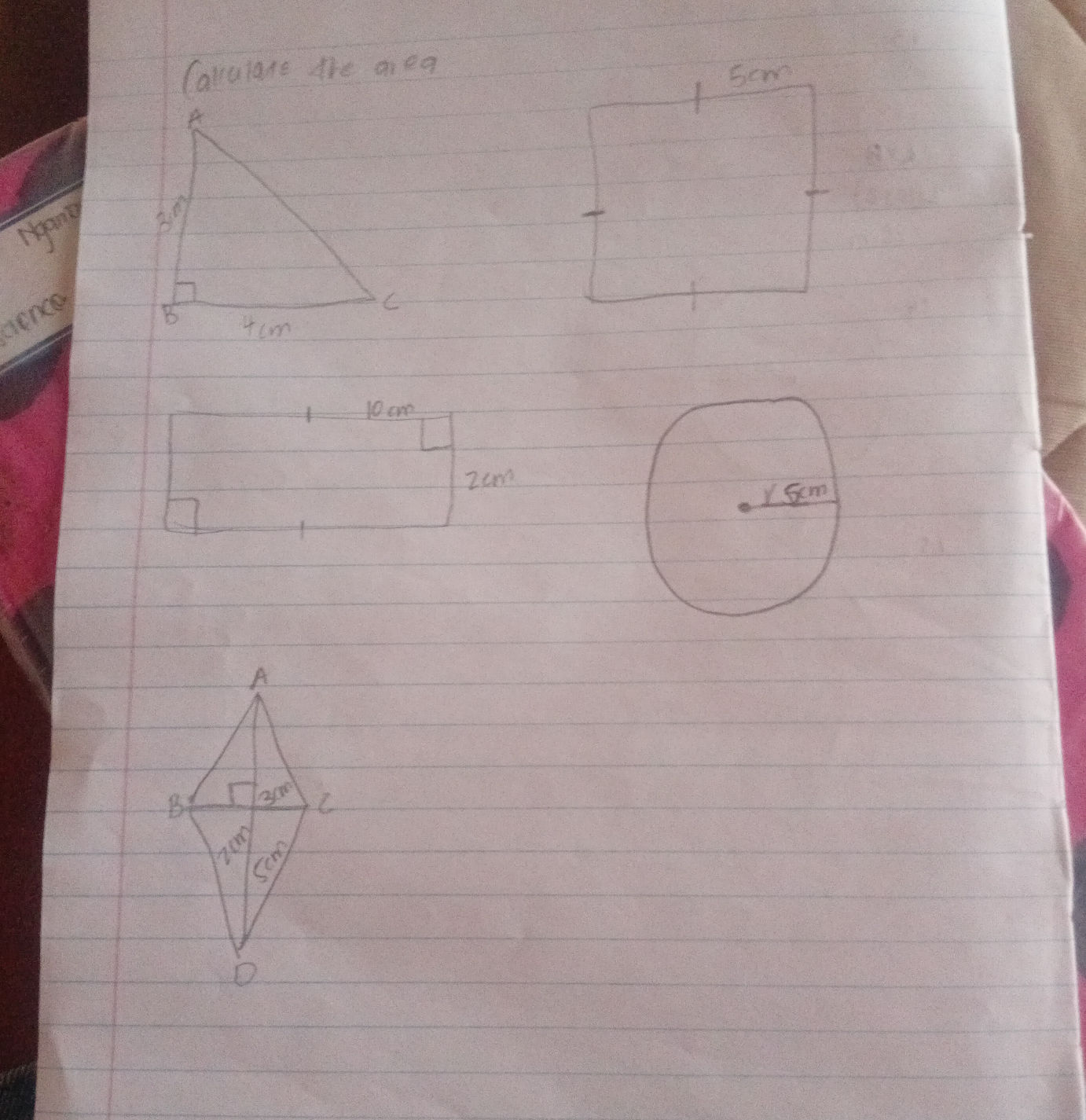 Calculate the area **Figure 1: Triangle | StudyX