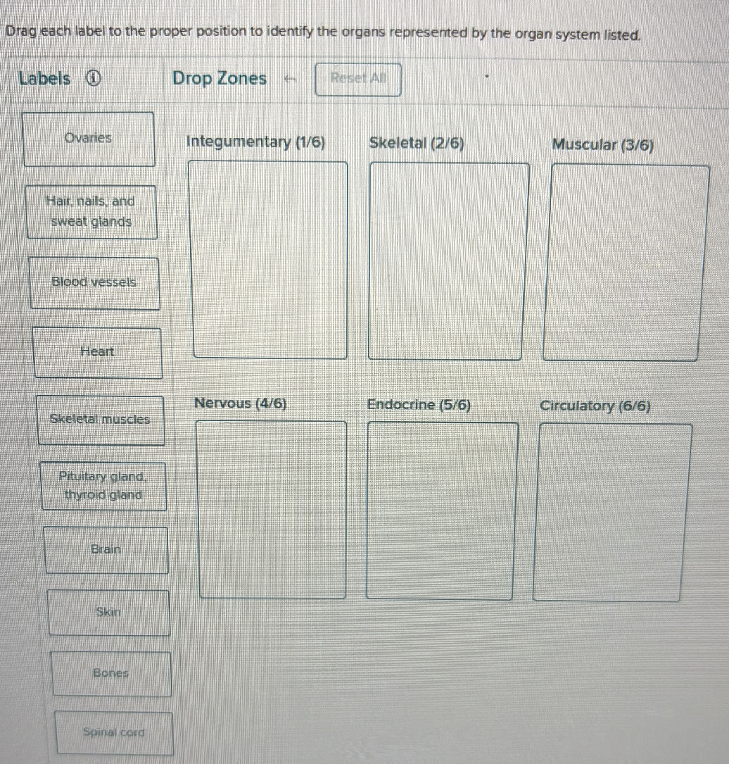 Drag each label to the proper position to | StudyX