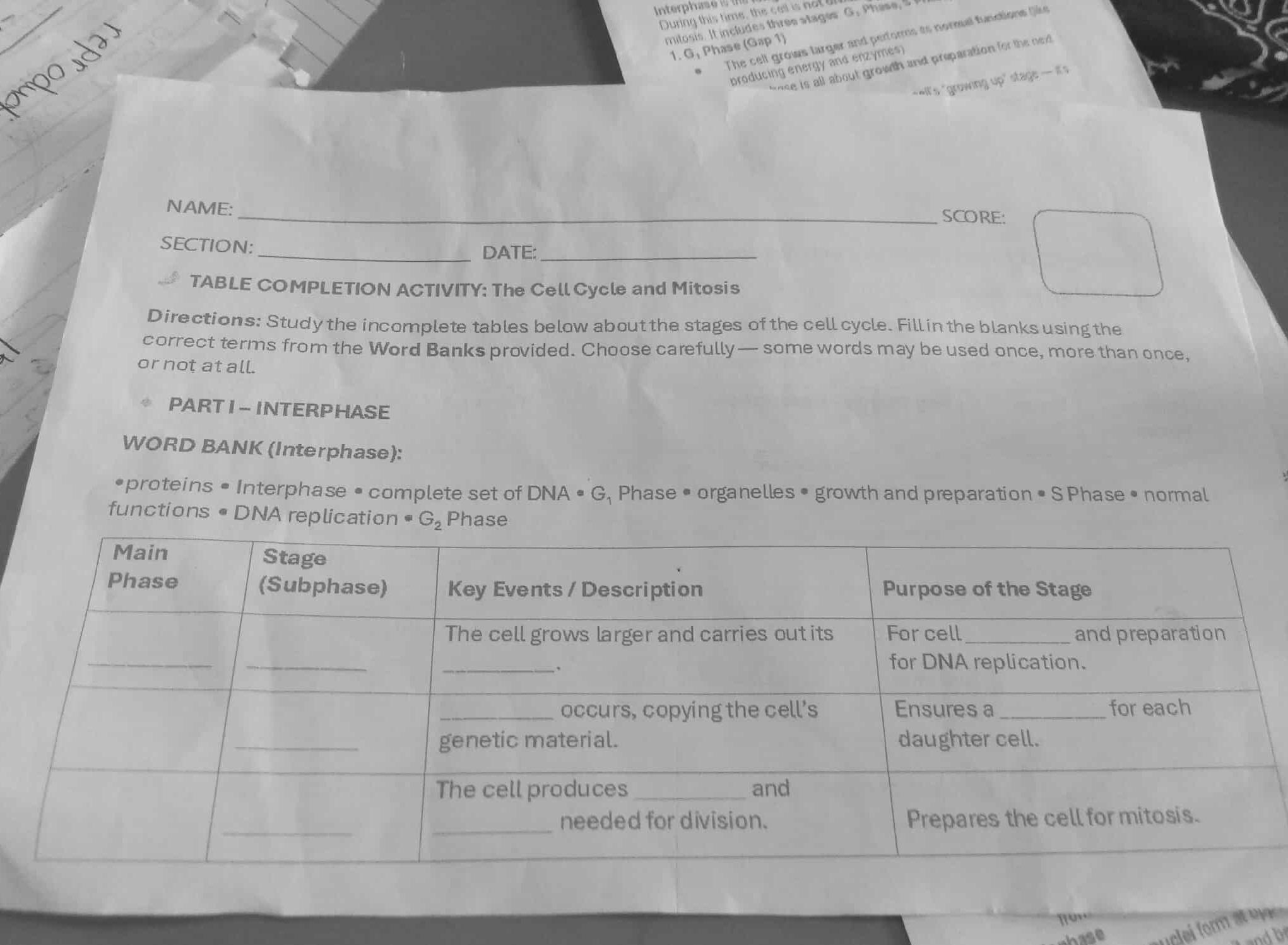 TABLE COMPLETION ACTIVITY: The Cell Cycle | StudyX