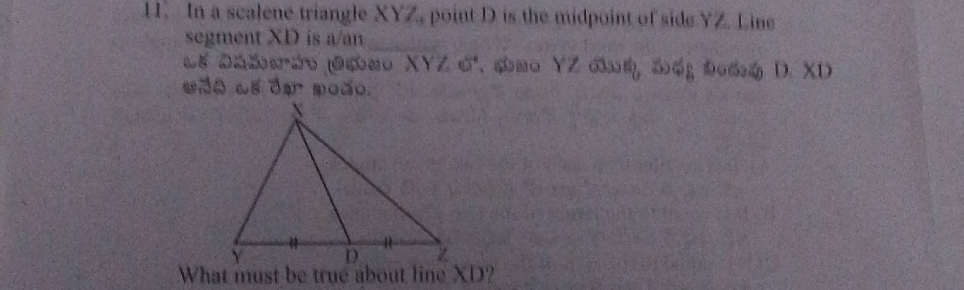 11. In a scalene triangle XYZ, point D is | StudyX