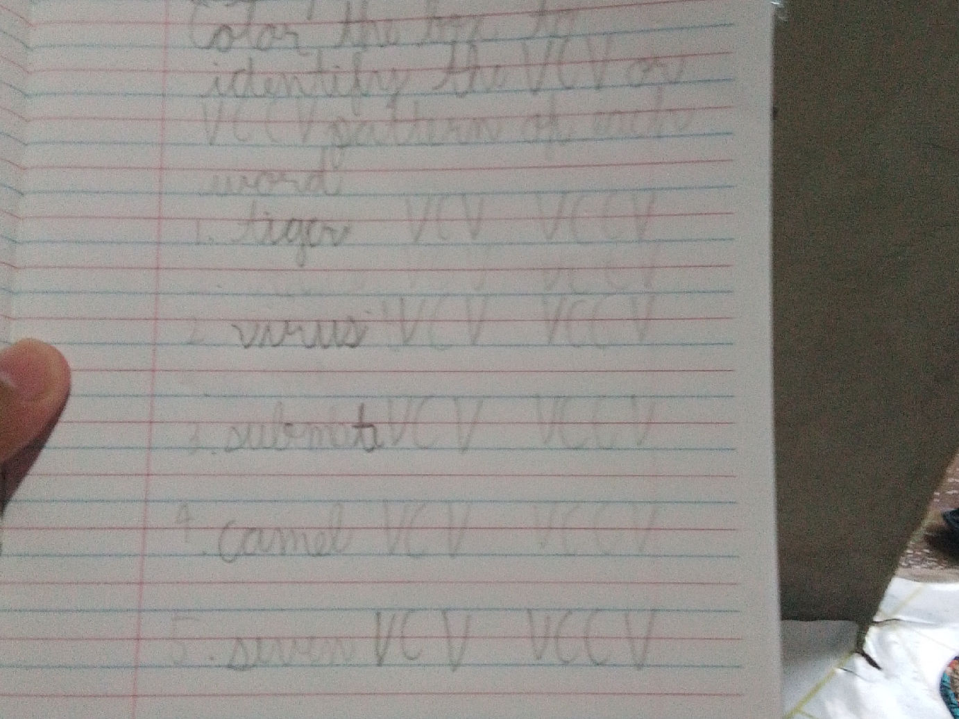 Color the box identify the VCV or VCCV | StudyX