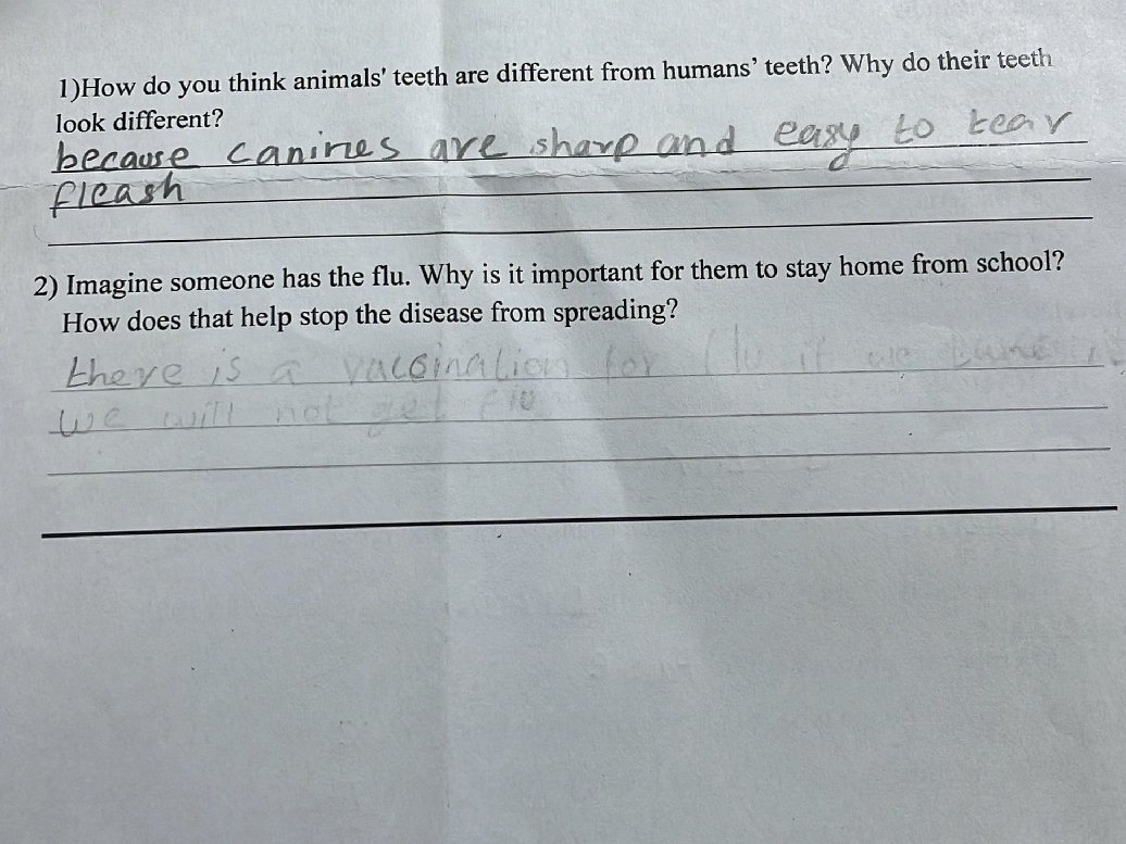 1)How do you think animals' teeth are | StudyX