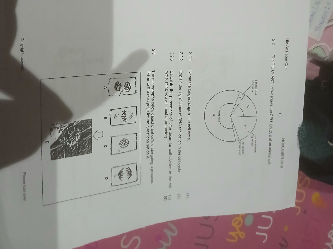 The PIE CHART below shows the CELL CYCLE of | StudyX