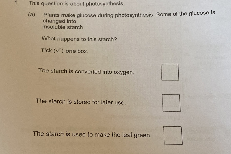 Plants make glucose during photosynthesis. | StudyX