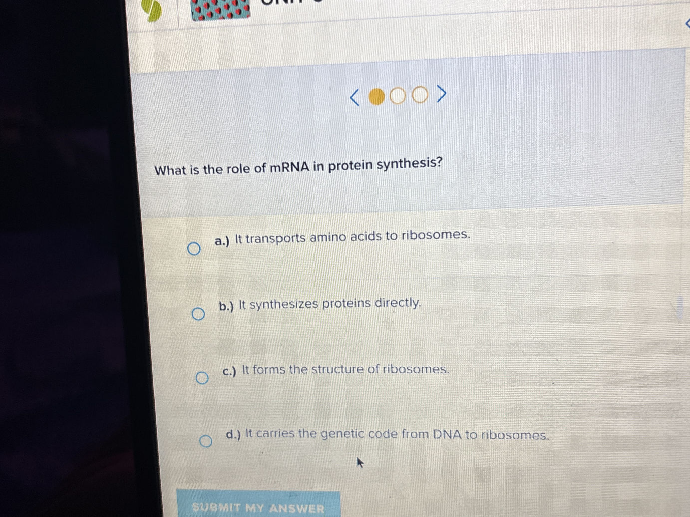 What is the role of mRNA in protein | StudyX