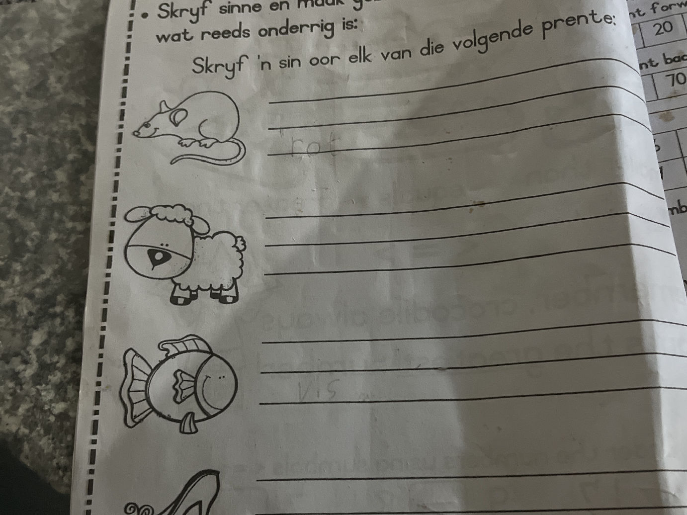 Skryf sinne en maak wat reeds onderrig is: | StudyX