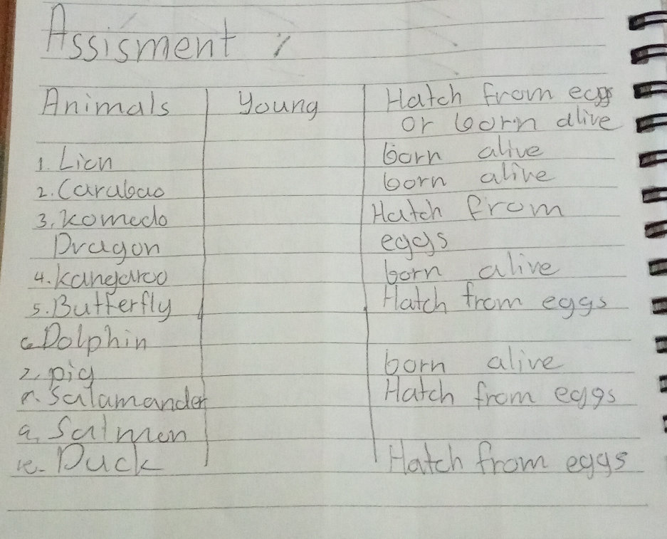 Animals | Young | Hatch from eggs or born | StudyX