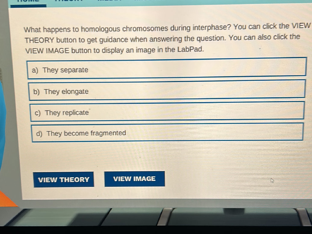 What happens to homologous chromosomes | StudyX
