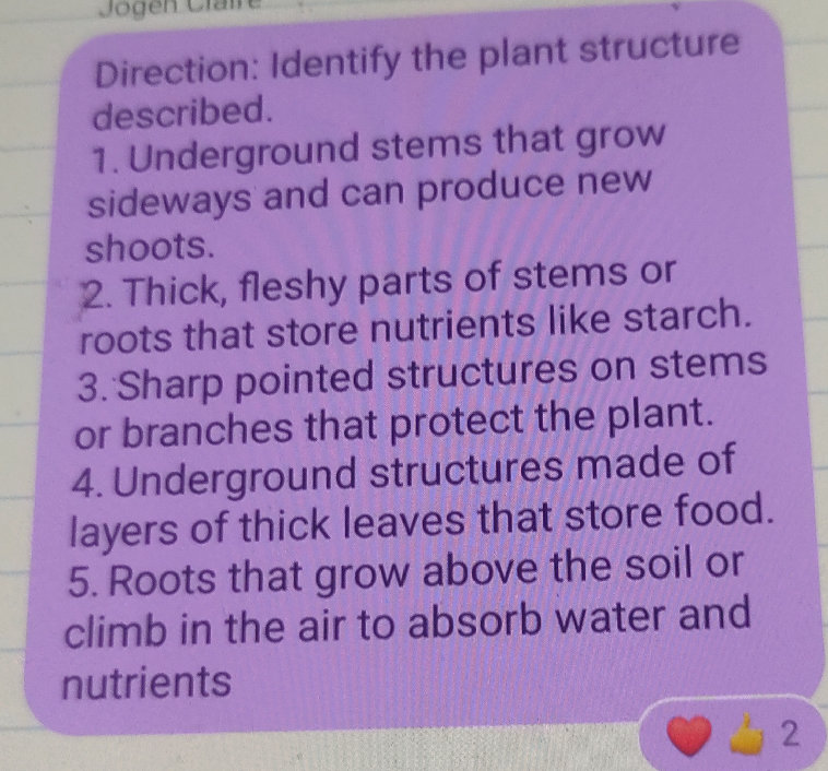 Direction: Identify the plant structure | StudyX