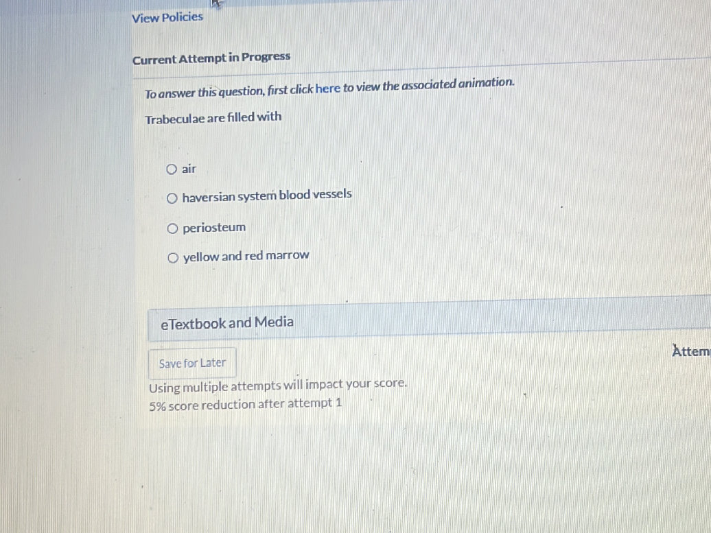 Trabeculae are filled with air haversian | StudyX