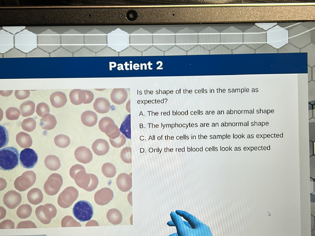 Is the shape of the cells in the sample as | StudyX