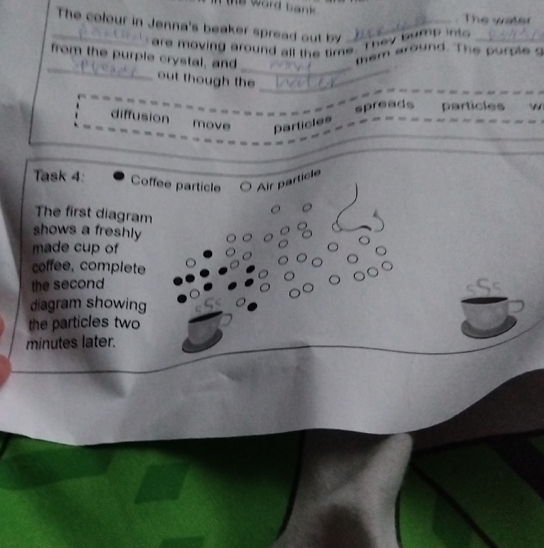 Task 4: The first diagram shows a freshly | StudyX