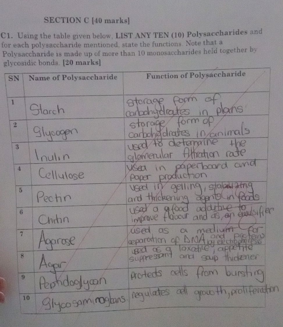 C1. Using the table given below, LIST ANY | StudyX