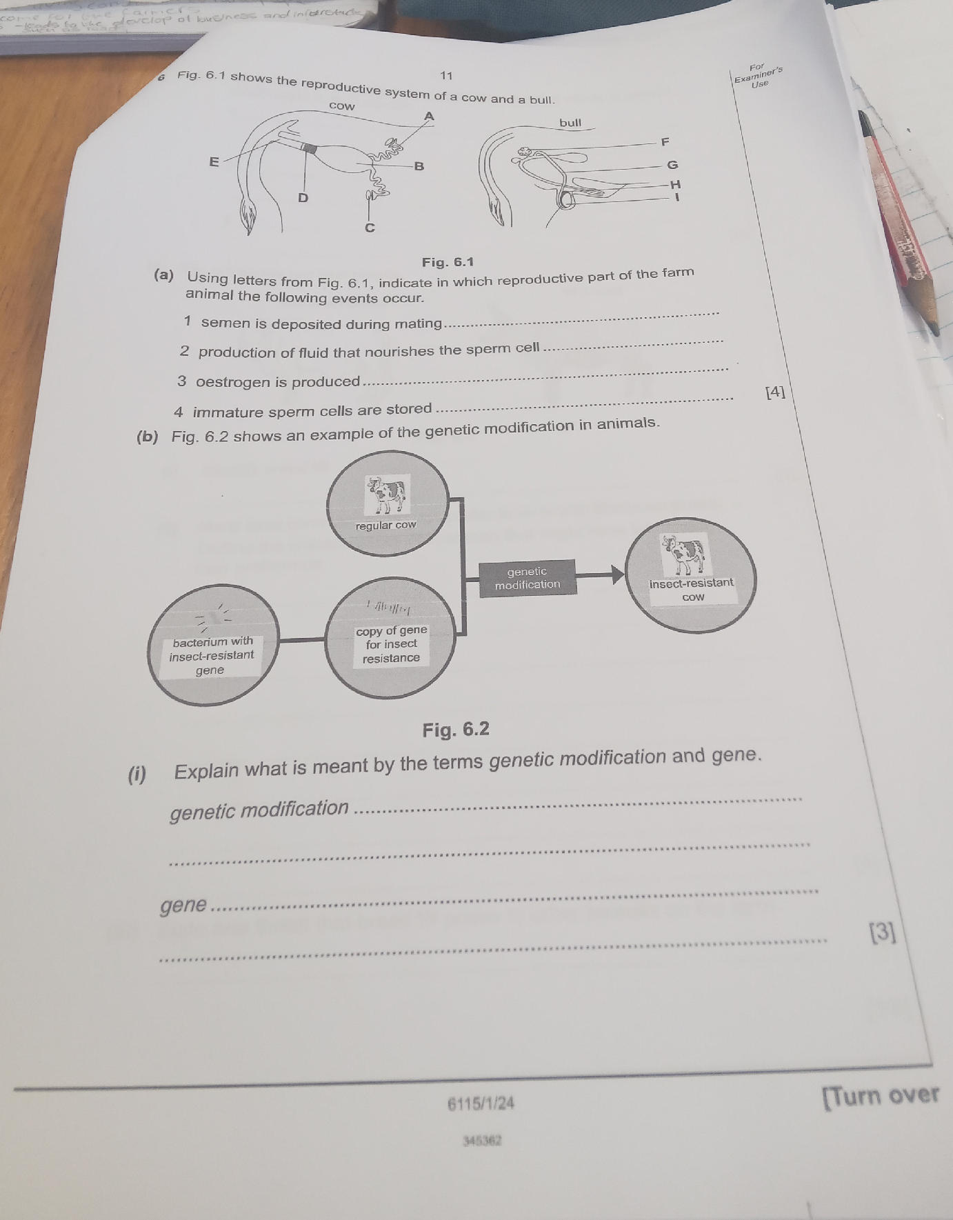 Fig. 6.1 shows the reproductive system of a | StudyX