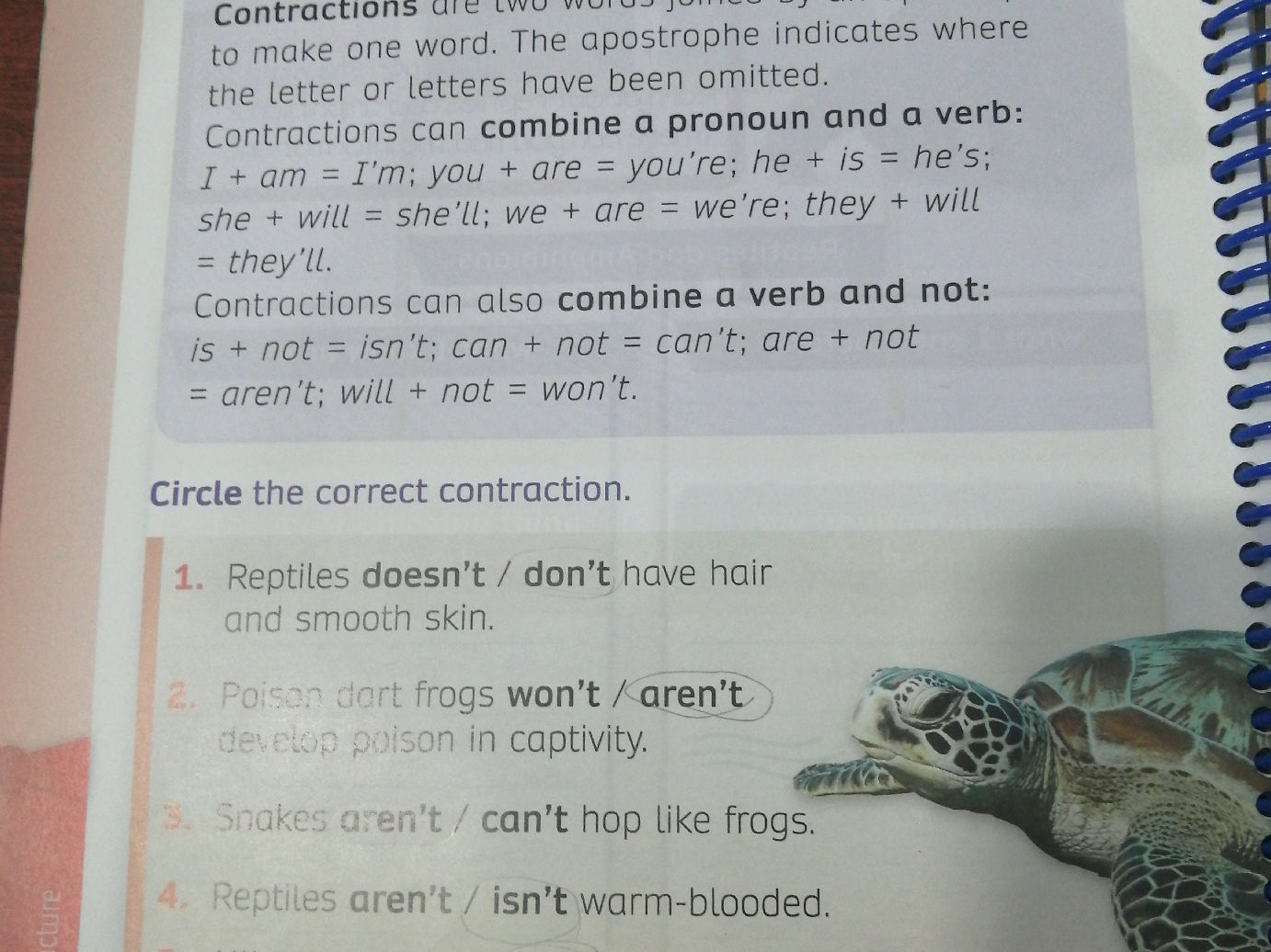Contractions can combine a pronoun and a | StudyX