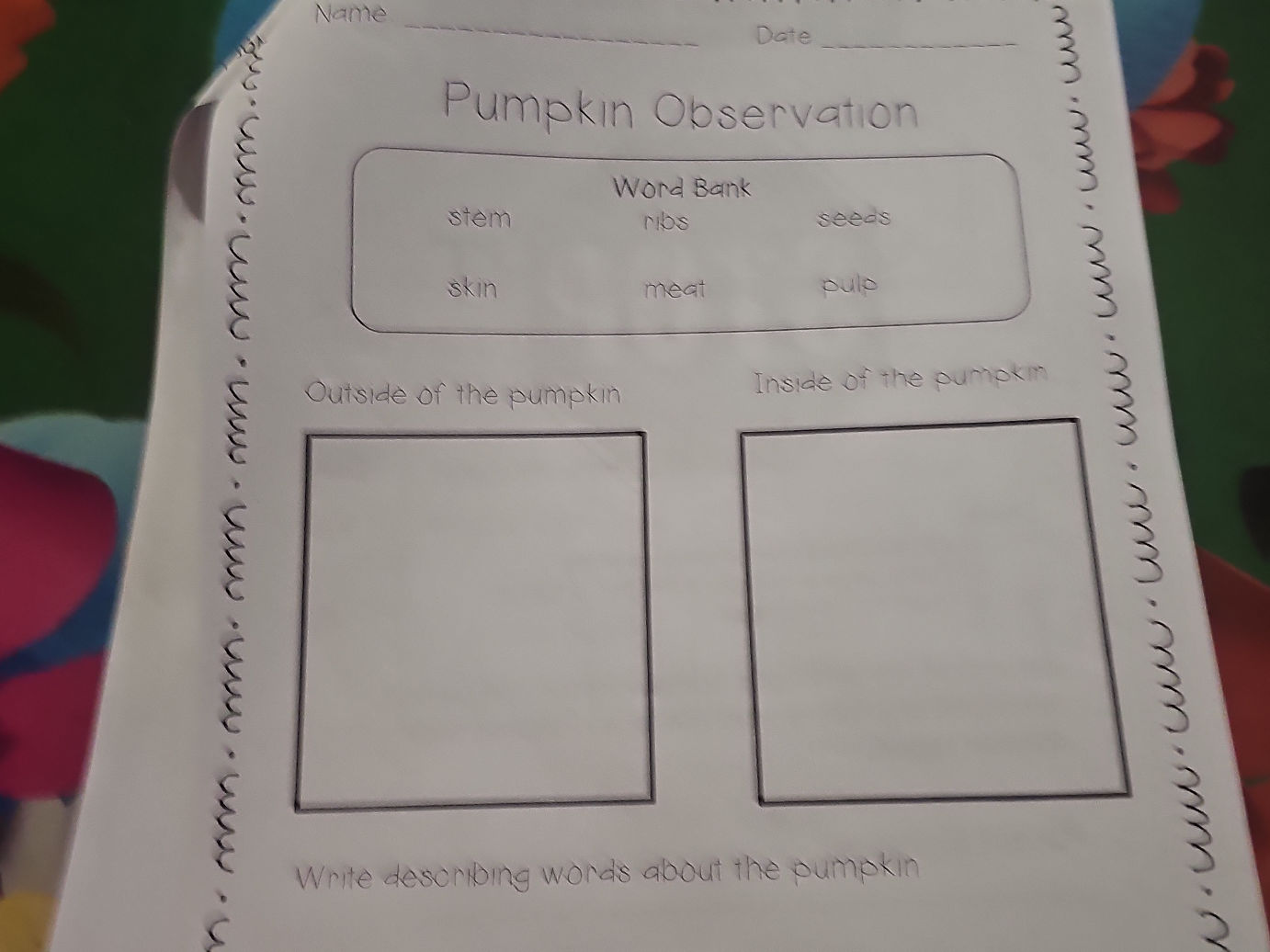 ## Pumpkin Observation **Word Bank** | | | | StudyX