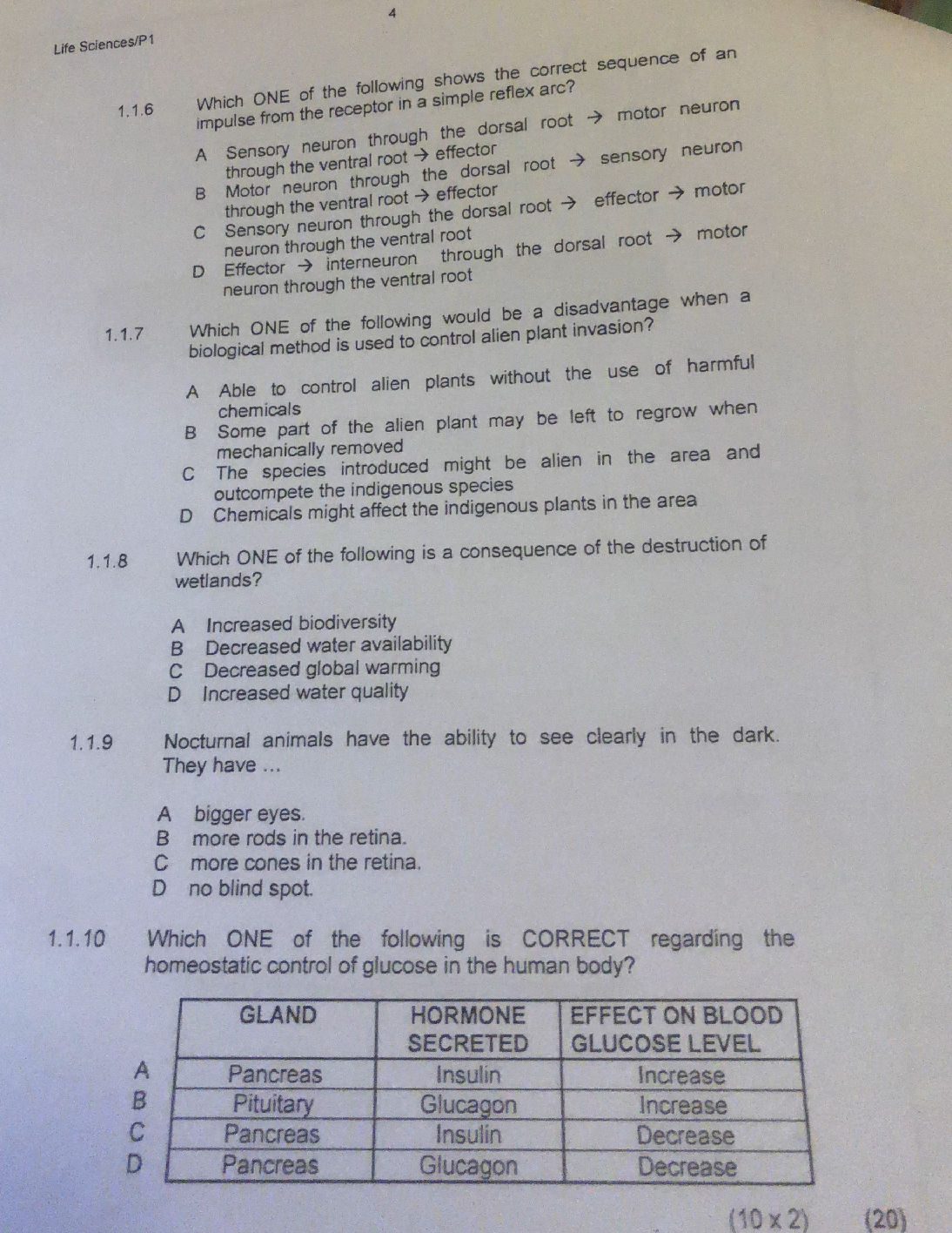 Which ONE of the following is CORRECT | StudyX