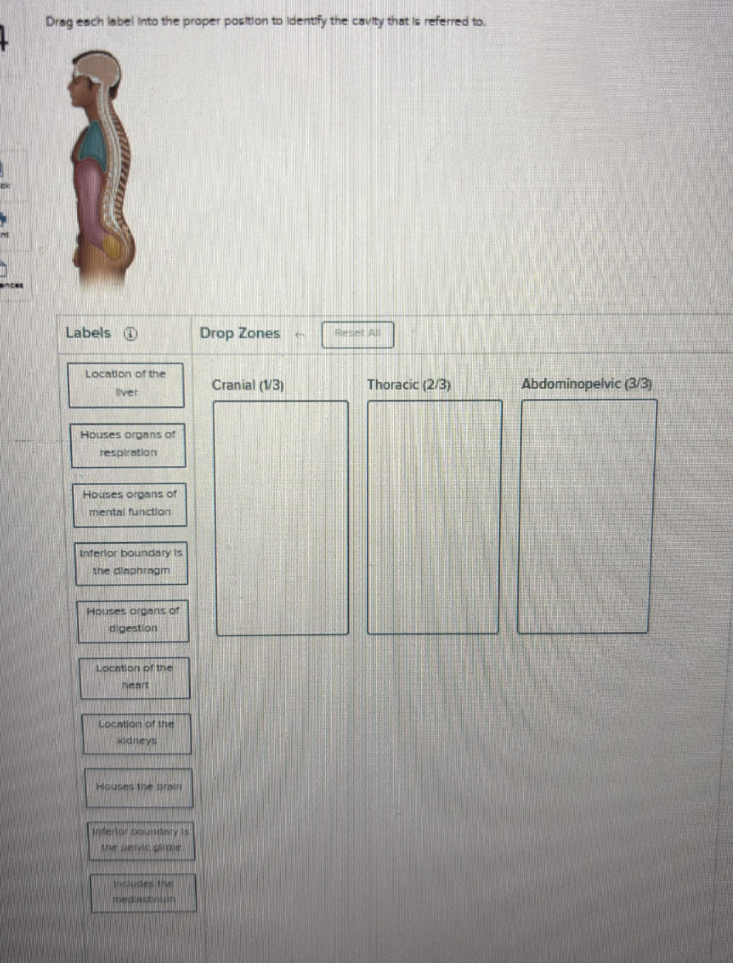 Drag each label into the proper position to | StudyX