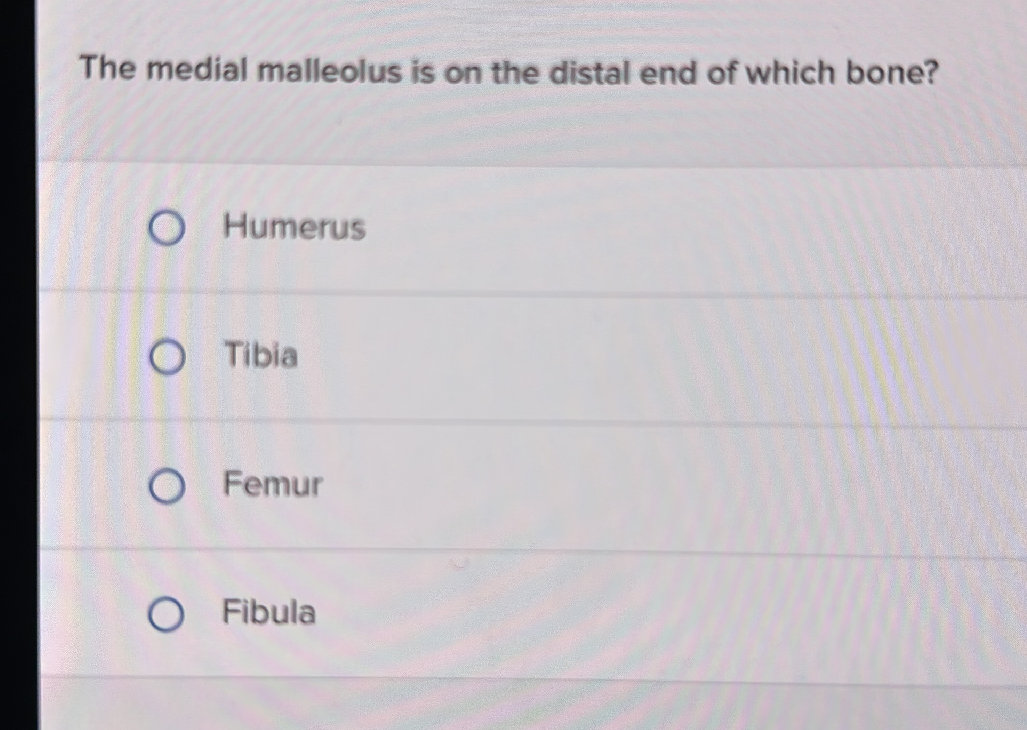 The medial malleolus is on the distal end of | StudyX