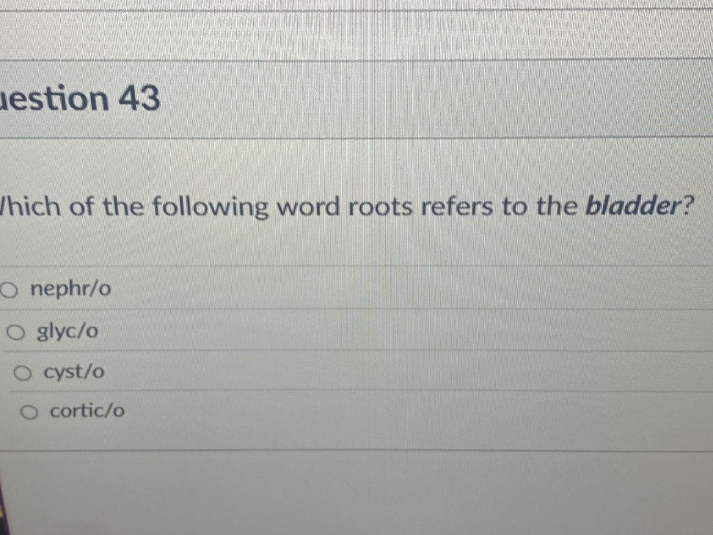 Which of the following word roots refers to | StudyX