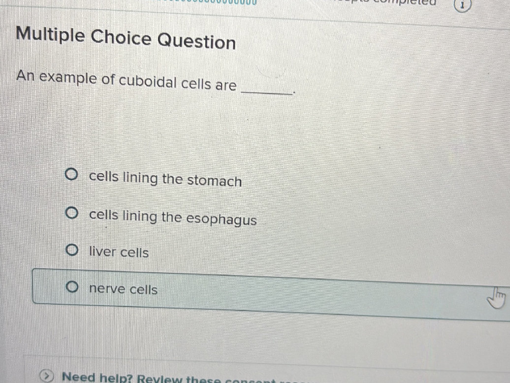 An example of cuboidal cells are ______. A. | StudyX