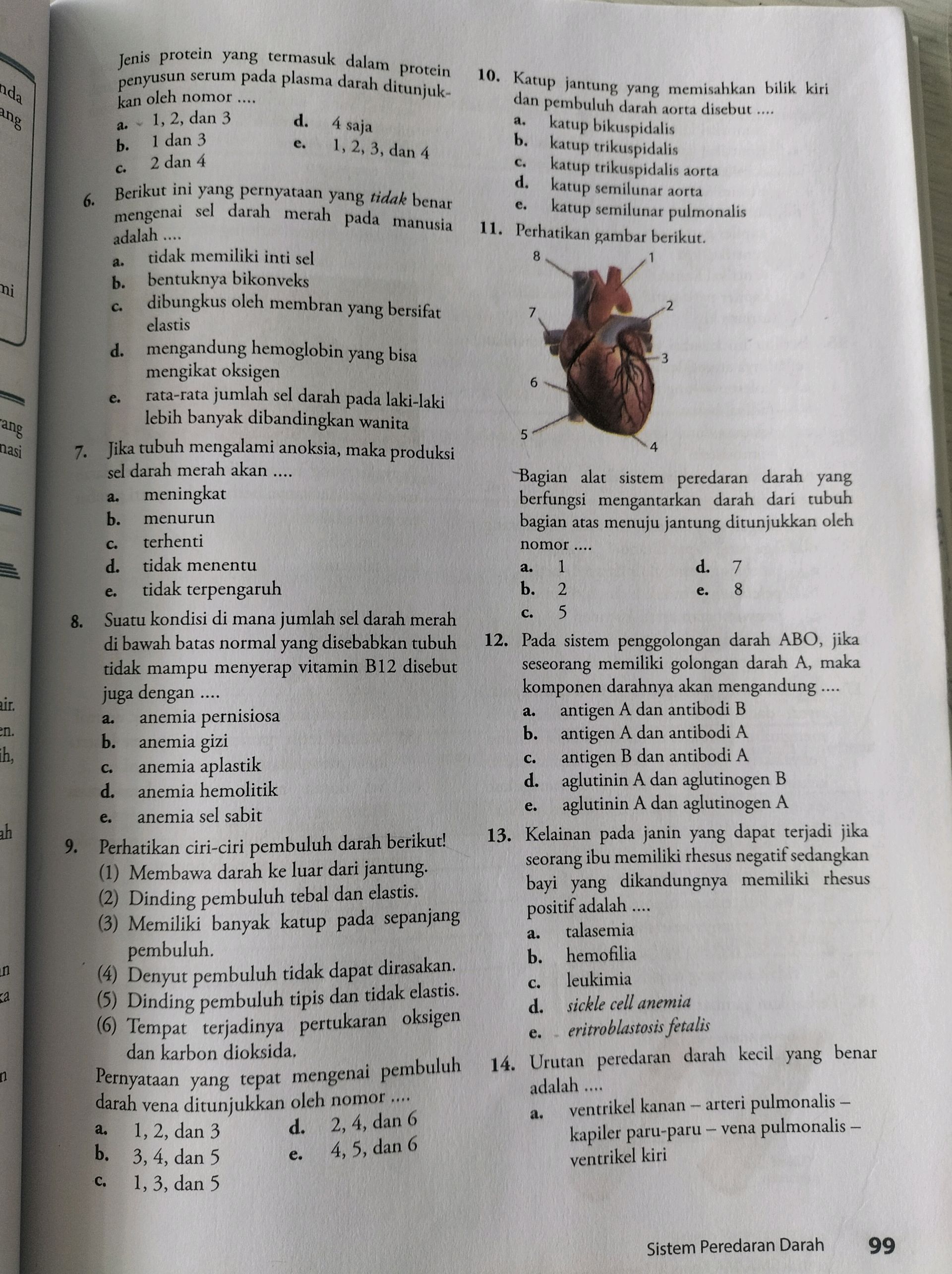 Jenis protein yang termasuk dalam protein | StudyX