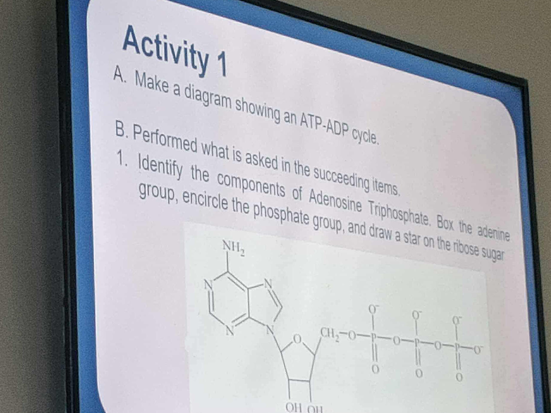 A. Make a diagram showing an ATP-ADP cycle. | StudyX