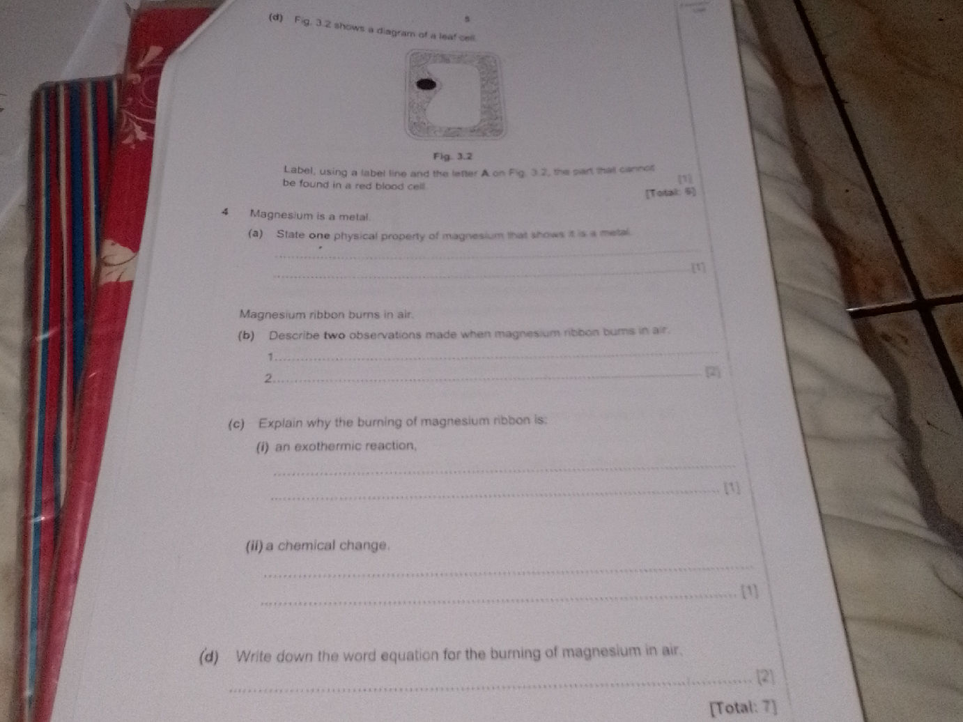 (d) Fig. 3.2 shows a diagram of a leaf cell. | StudyX