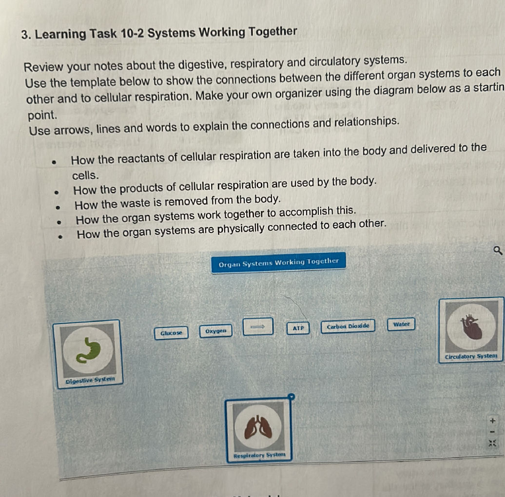 3. Learning Task 10-2 Systems Working | StudyX