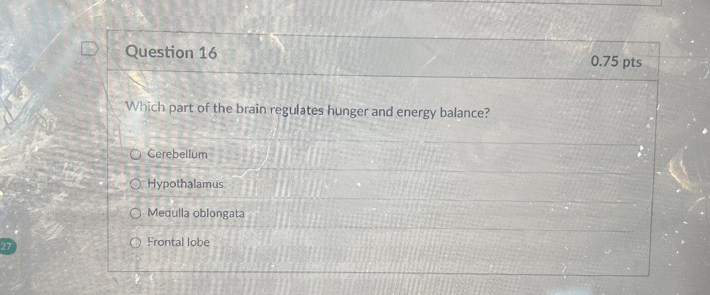 Which part of the brain regulates hunger and | StudyX
