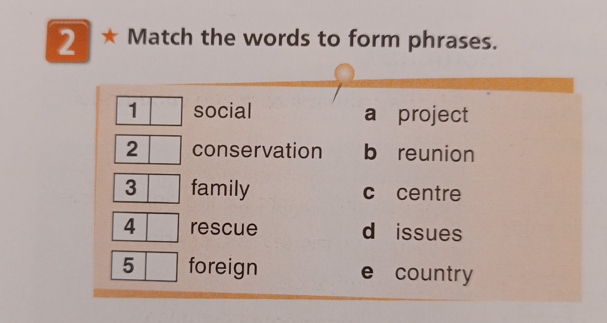 Match the words to form phrases. | | | StudyX