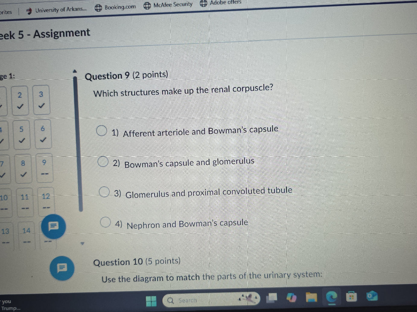 Question 9 (2 points) Which structures make | StudyX