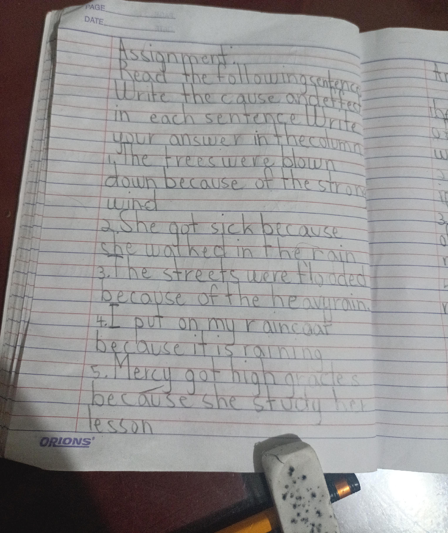 Assignment Read the following sentence Write | StudyX