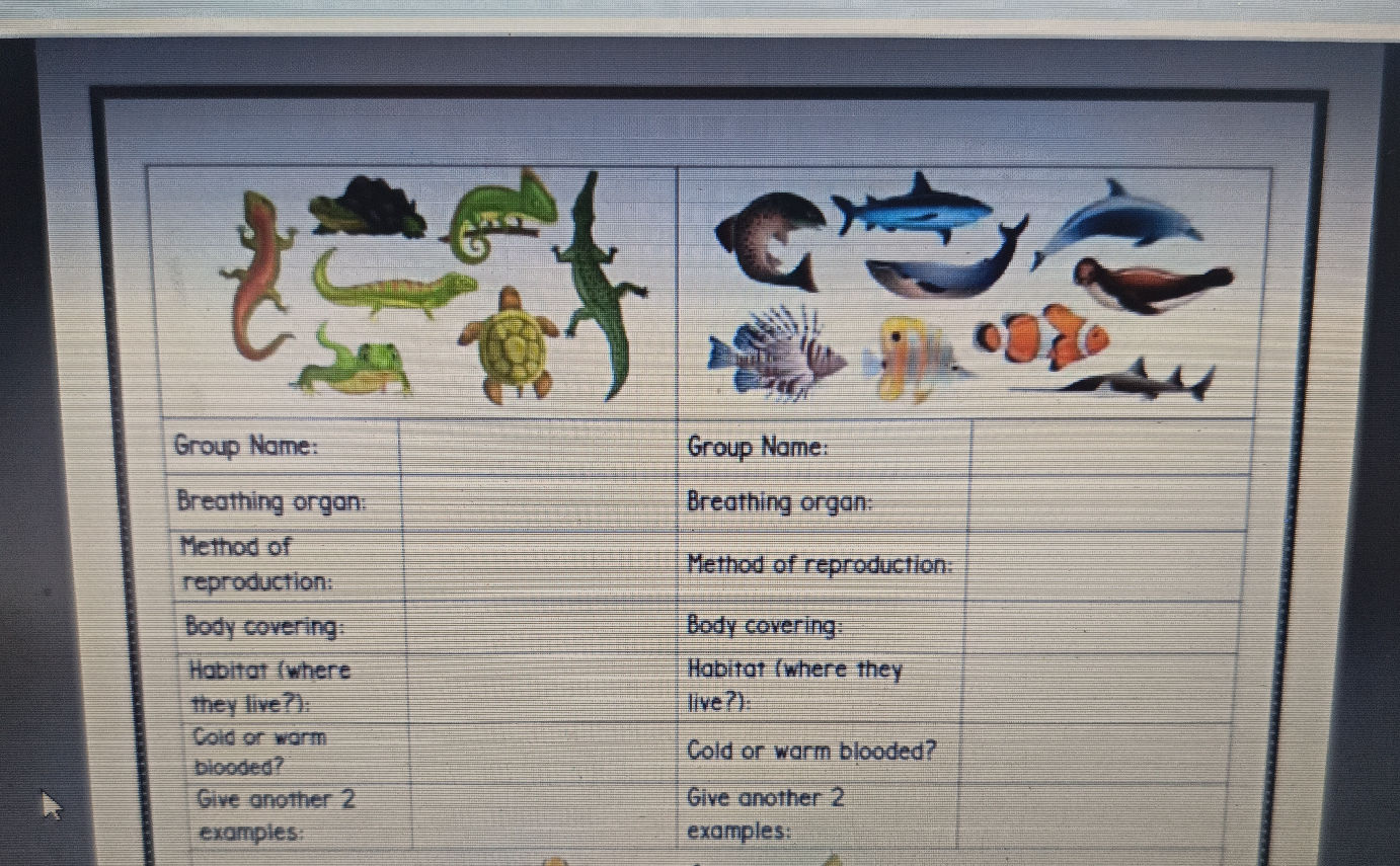The image displays two groups of animals | StudyX