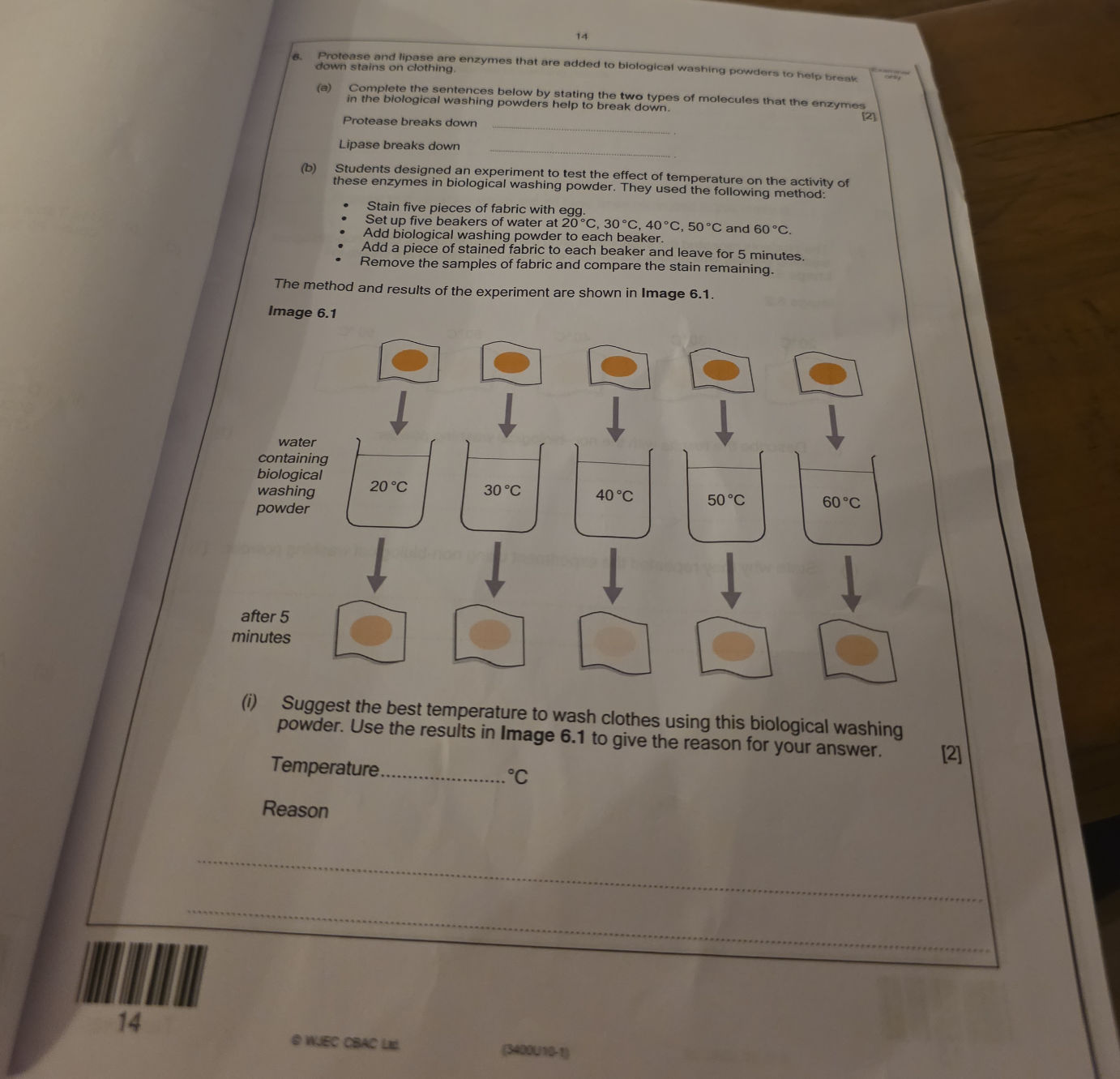 7. (b) Students designed an experiment to | StudyX