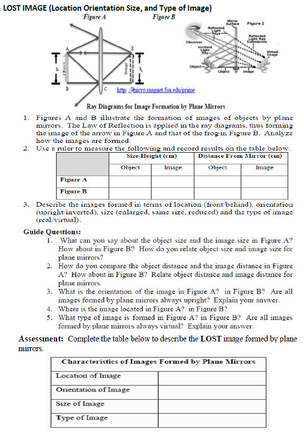 LOST IMAGE (Location Orientation Size, and | StudyX