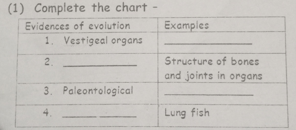 (1) Complete the chart | Evidences of | StudyX