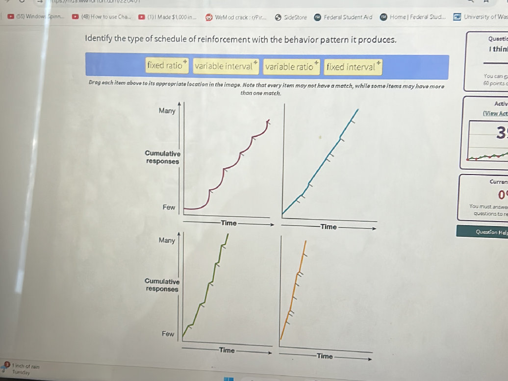 Identify the type of schedule of | StudyX