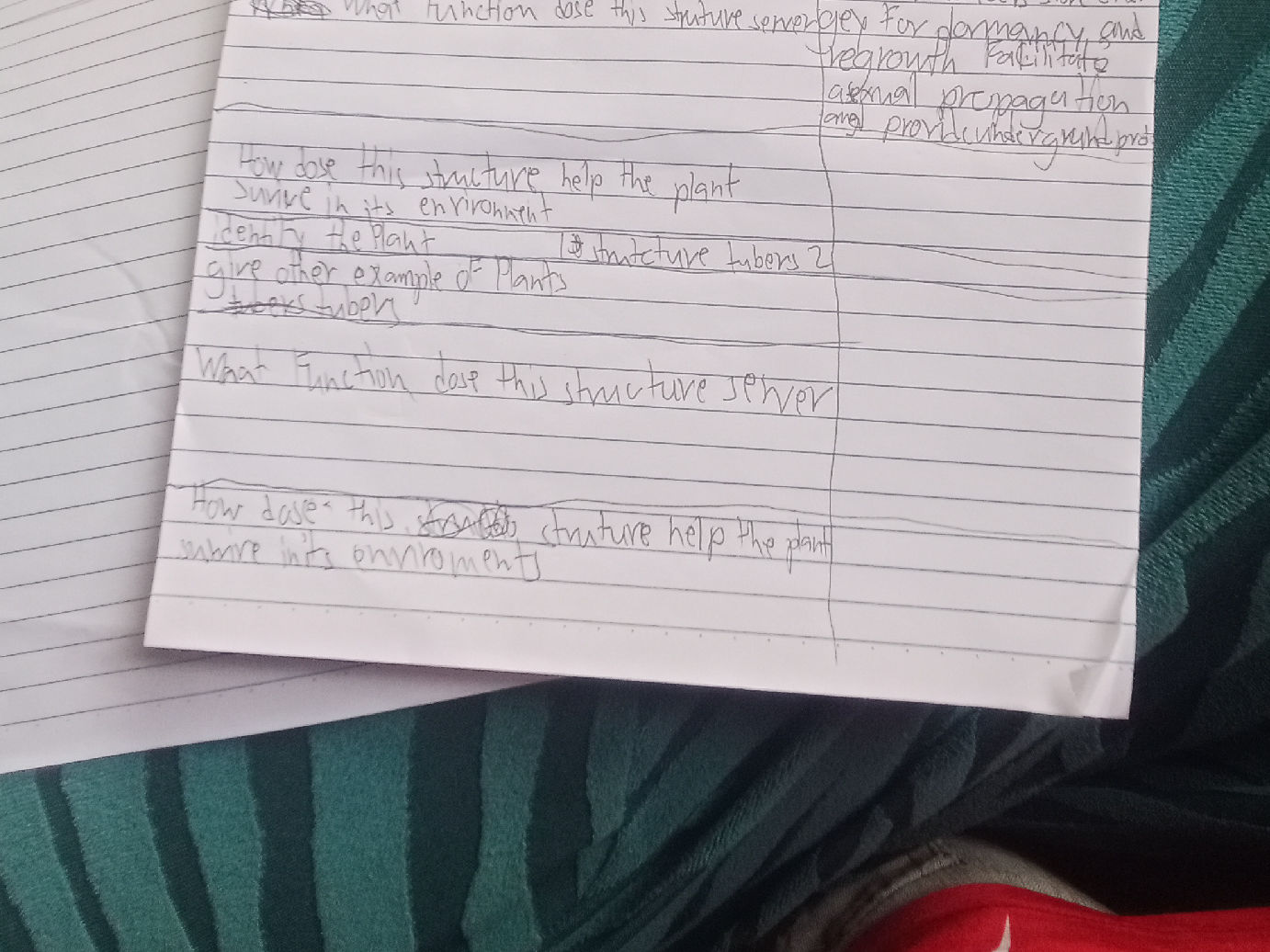 What Function dose this structure | StudyX