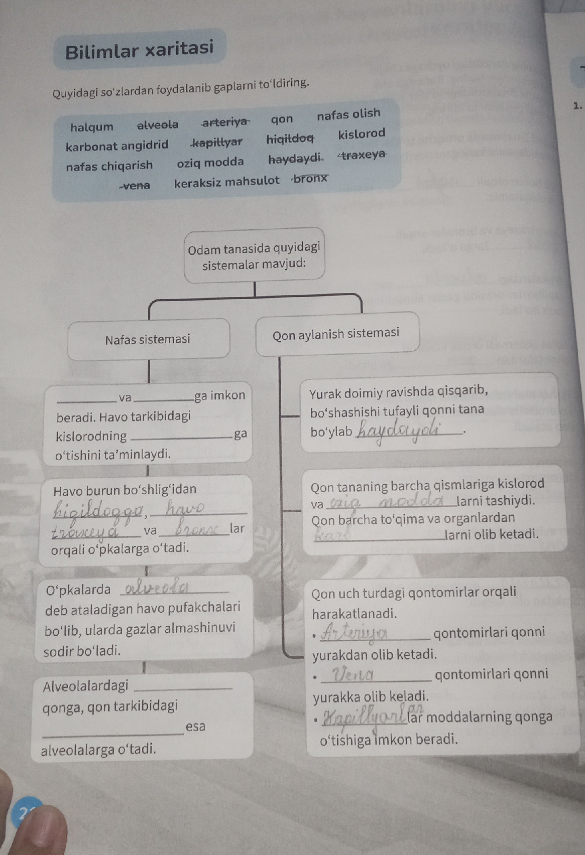 Bosh so'zlar: halqum, alveola, arteriya, | StudyX
