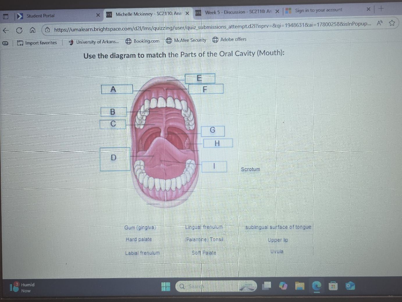 Use the diagram to match the Parts of the