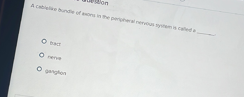 A cablelike bundle of axons in the | StudyX