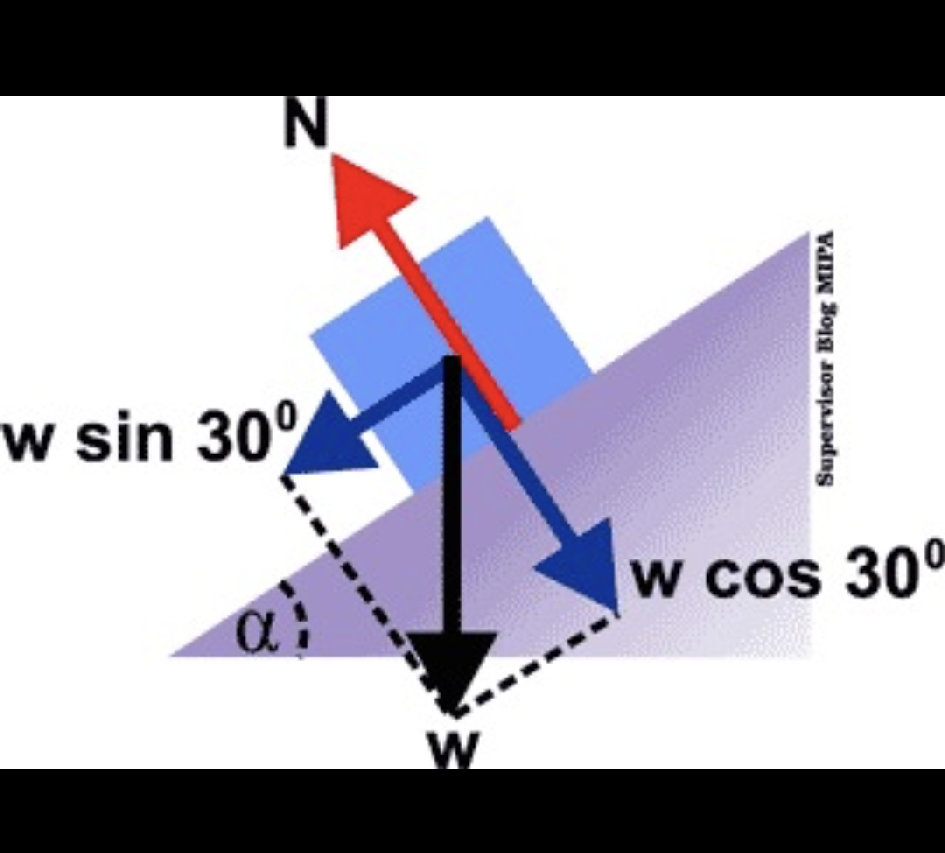 The image displays a free-body diagram for | StudyX