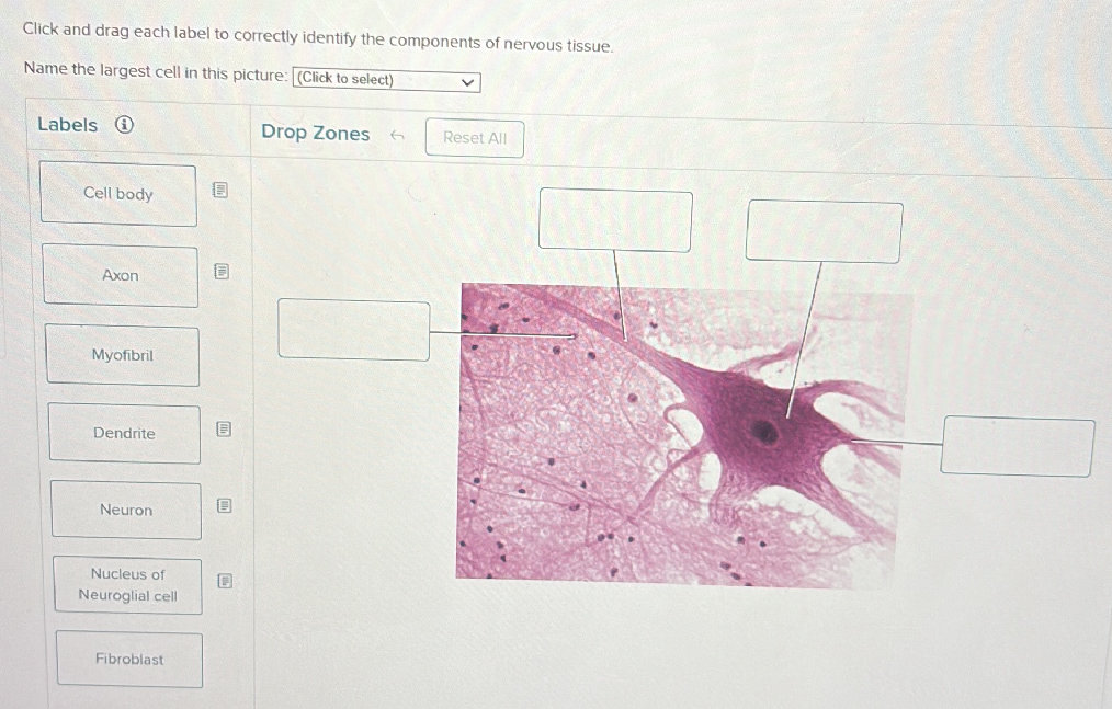 Click and drag each label to correctly | StudyX